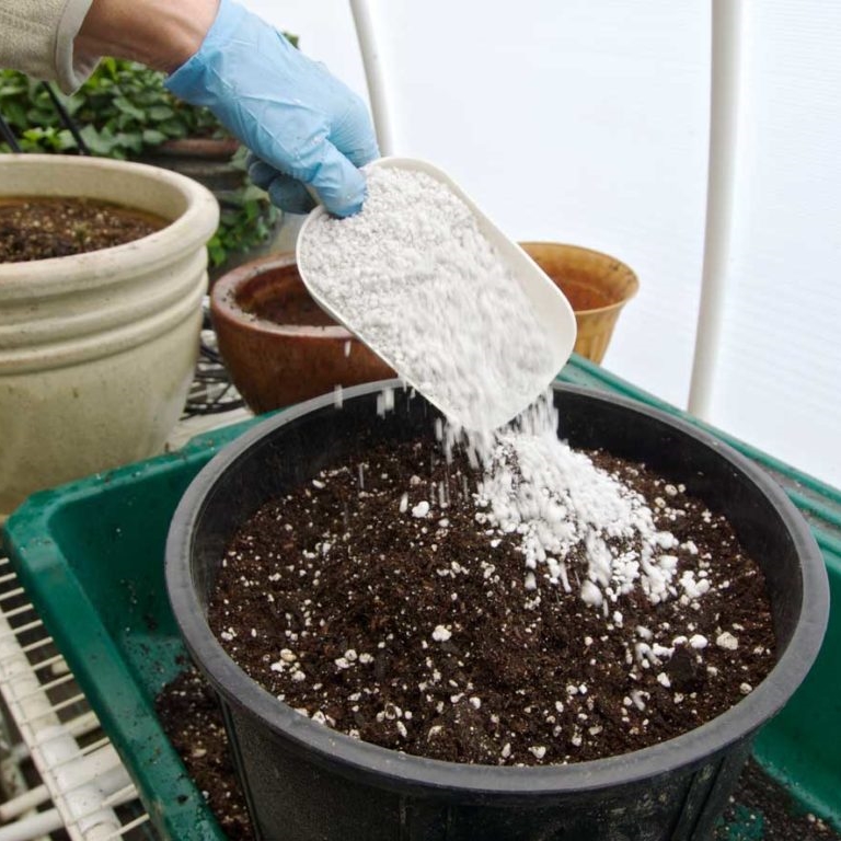 Perlitin Tarım ve Bahçeçilikteki Kullanımı - Bülbüller Madencilik